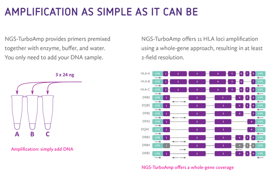 NGS-Turbo - High-resolution Nanopore HLA typing within 3 hours